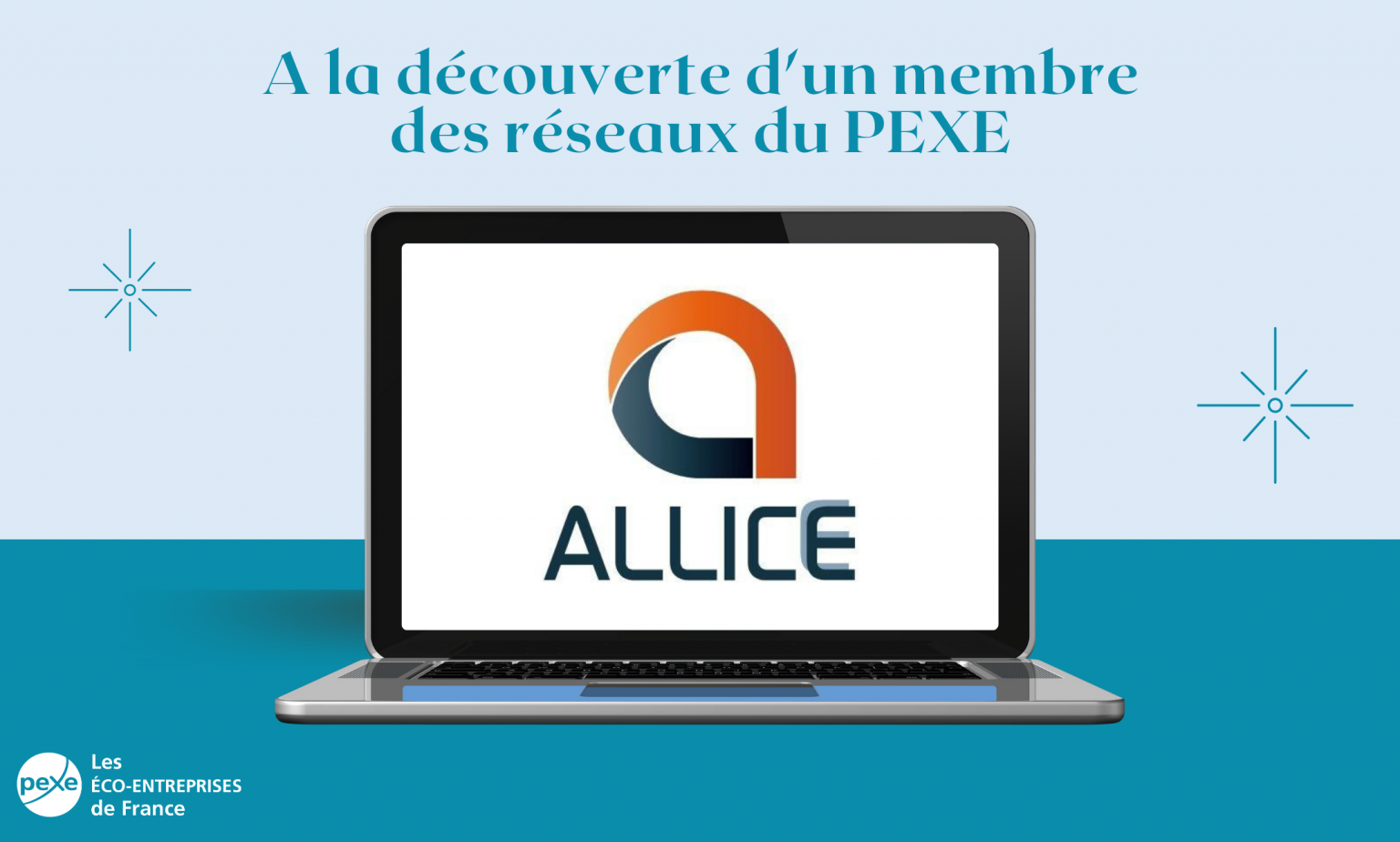 A la découverte de nos membres ! Focus sur ALLICE | PEXE