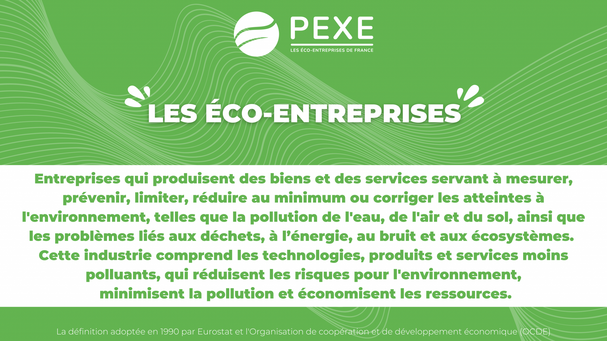 Le Pexe & vous | PEXE